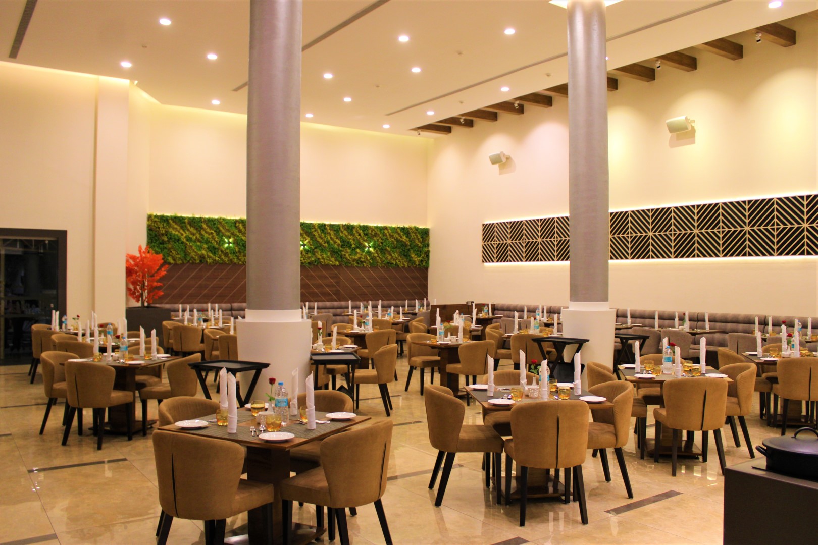 Sayaji Indore - Effusion Designs